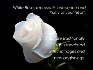 Roses the symbol of love and care | PPT
