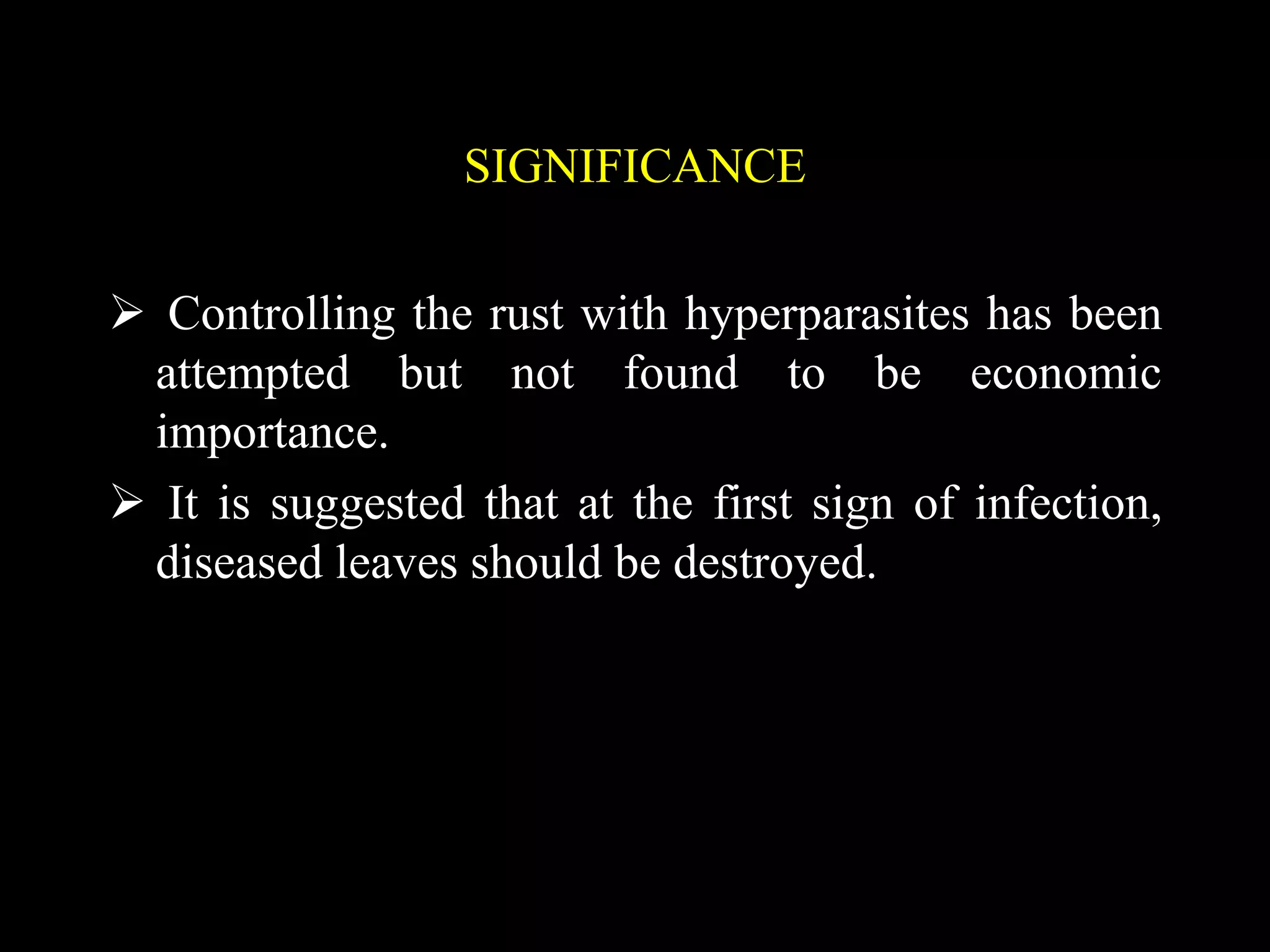 CASTOR SEEDLING BLIGHT ,CASTOR RUST | PPTX