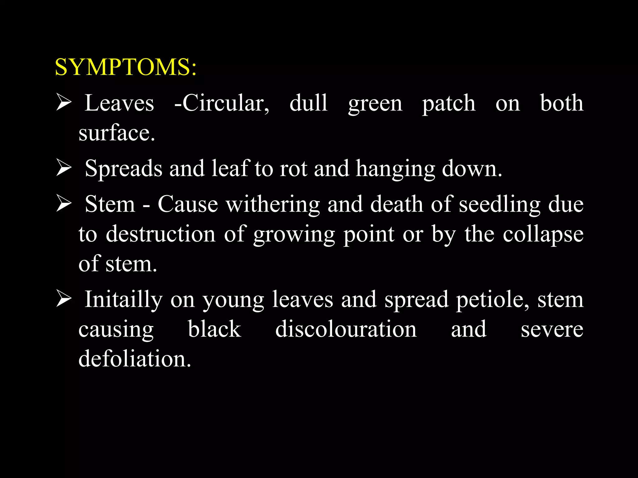 CASTOR SEEDLING BLIGHT ,CASTOR RUST | PPTX