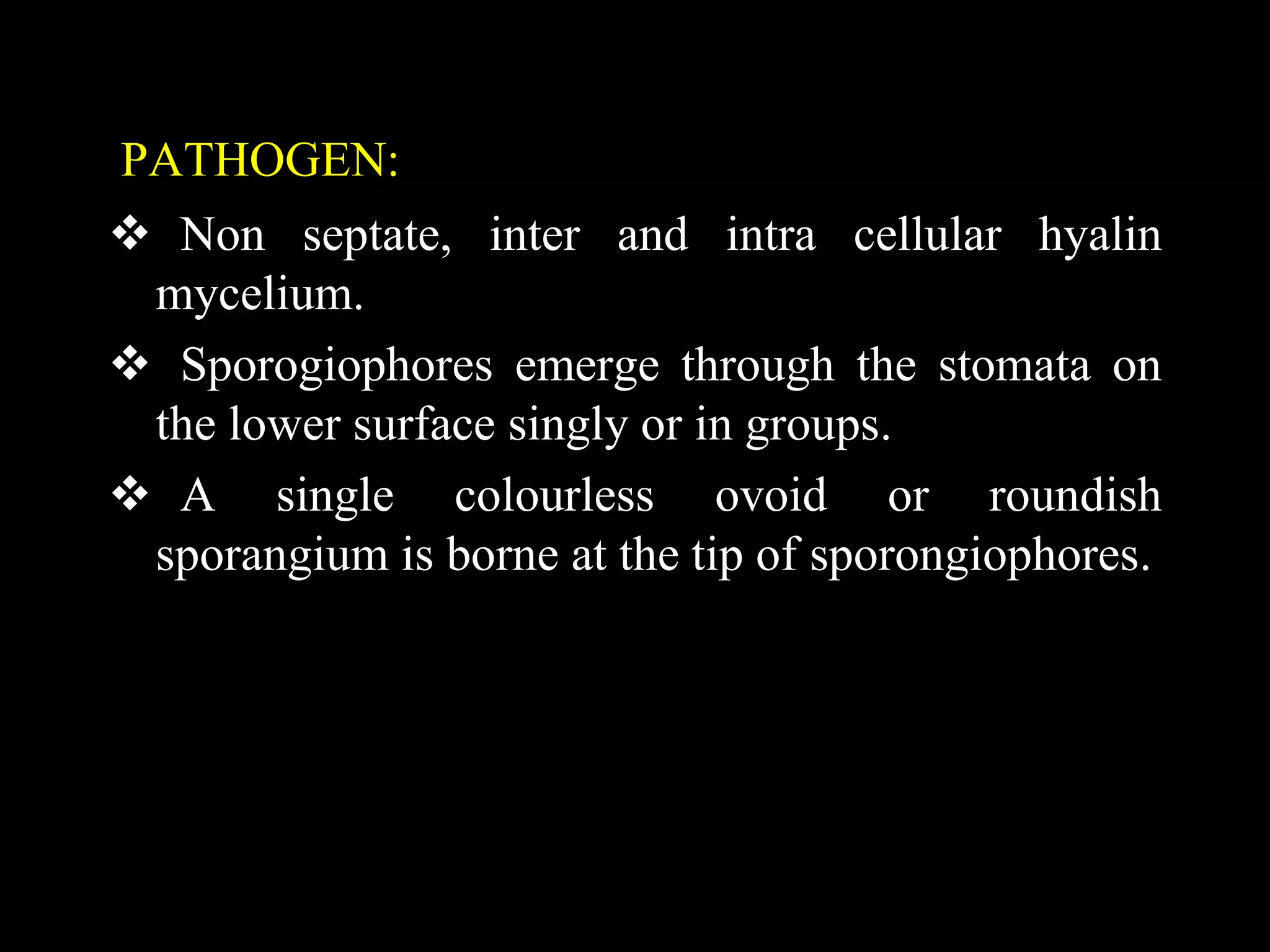 CASTOR SEEDLING BLIGHT ,CASTOR RUST | PPTX
