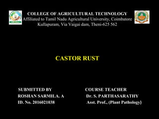 CASTOR SEEDLING BLIGHT ,CASTOR RUST | PPTX