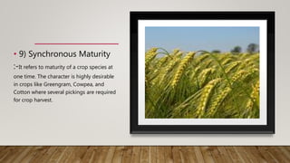 Roshan Chandurkar Aims & Objectives of Plant Breeding | PPTX