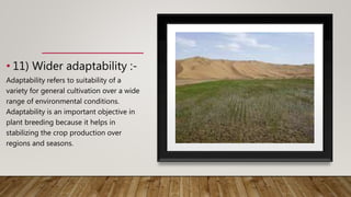 Roshan Chandurkar Aims & Objectives of Plant Breeding | PPTX