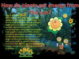 CHMSC lab school grade 5 project in science photosynthesis and ...