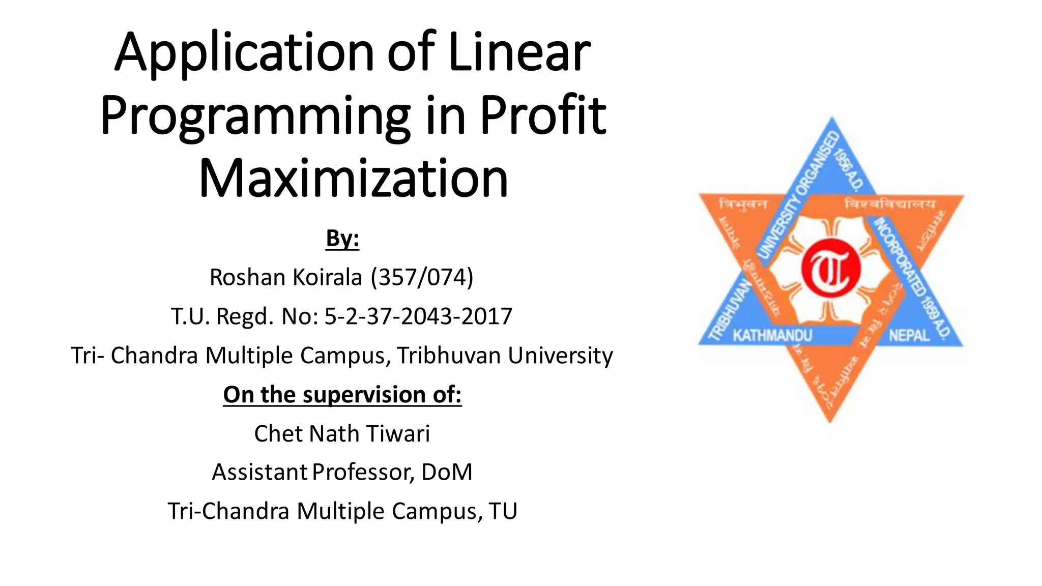 Roshan project - Linear prog fourth year project Slides.pdf