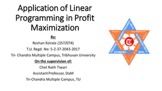 Roshan project - Linear prog fourth year project Slides.pdf
