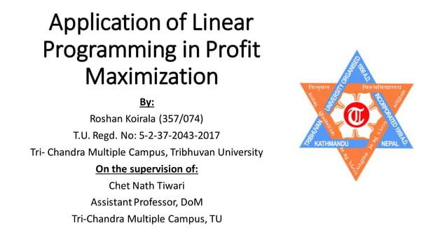 Roshan project - Linear prog fourth year project Slides.pdf