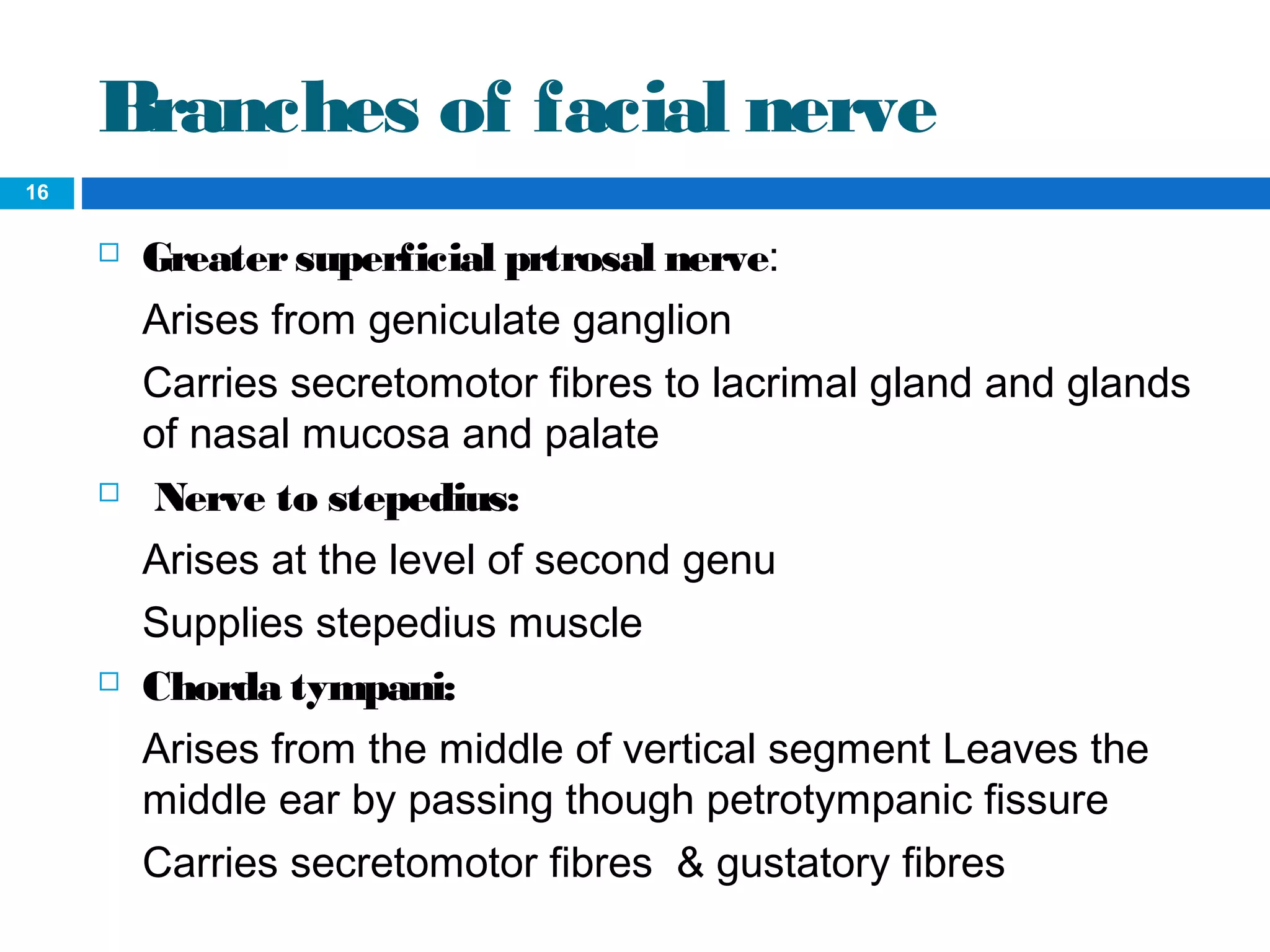 FACIAL NERVE | PPT