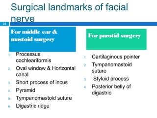 FACIAL NERVE | PPT | Ear, Nose and Throat Conditions | Diseases and ...