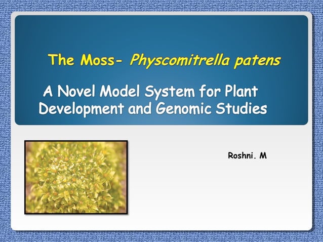 The Moss- Physcomitrella patens : A Novel Model System for Plant ...