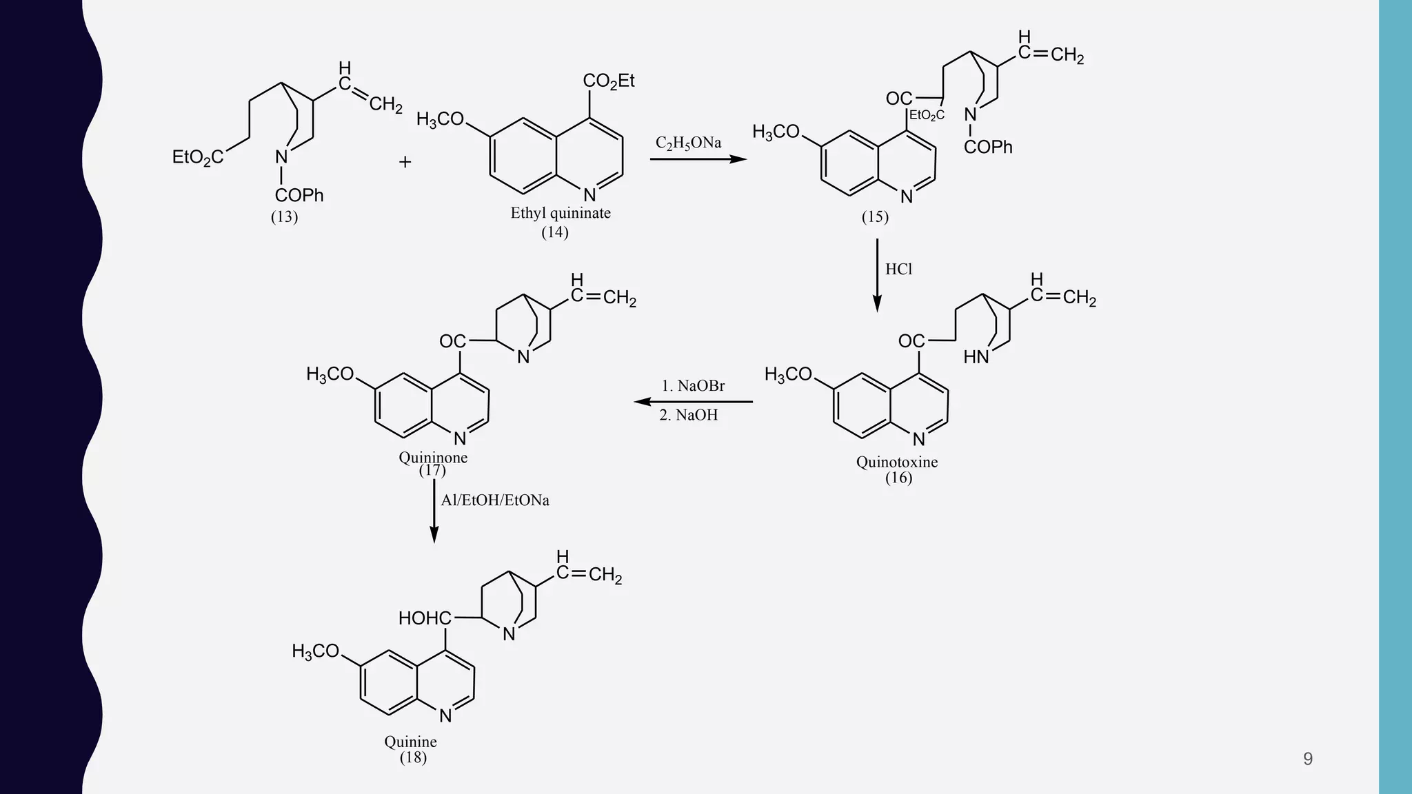 Synthesis Of Hetero-cyclic Drugs 2 | PPTX