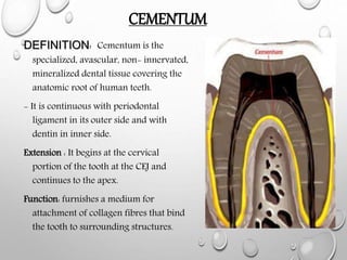 Age change in Dental Hard tissue | PPTX