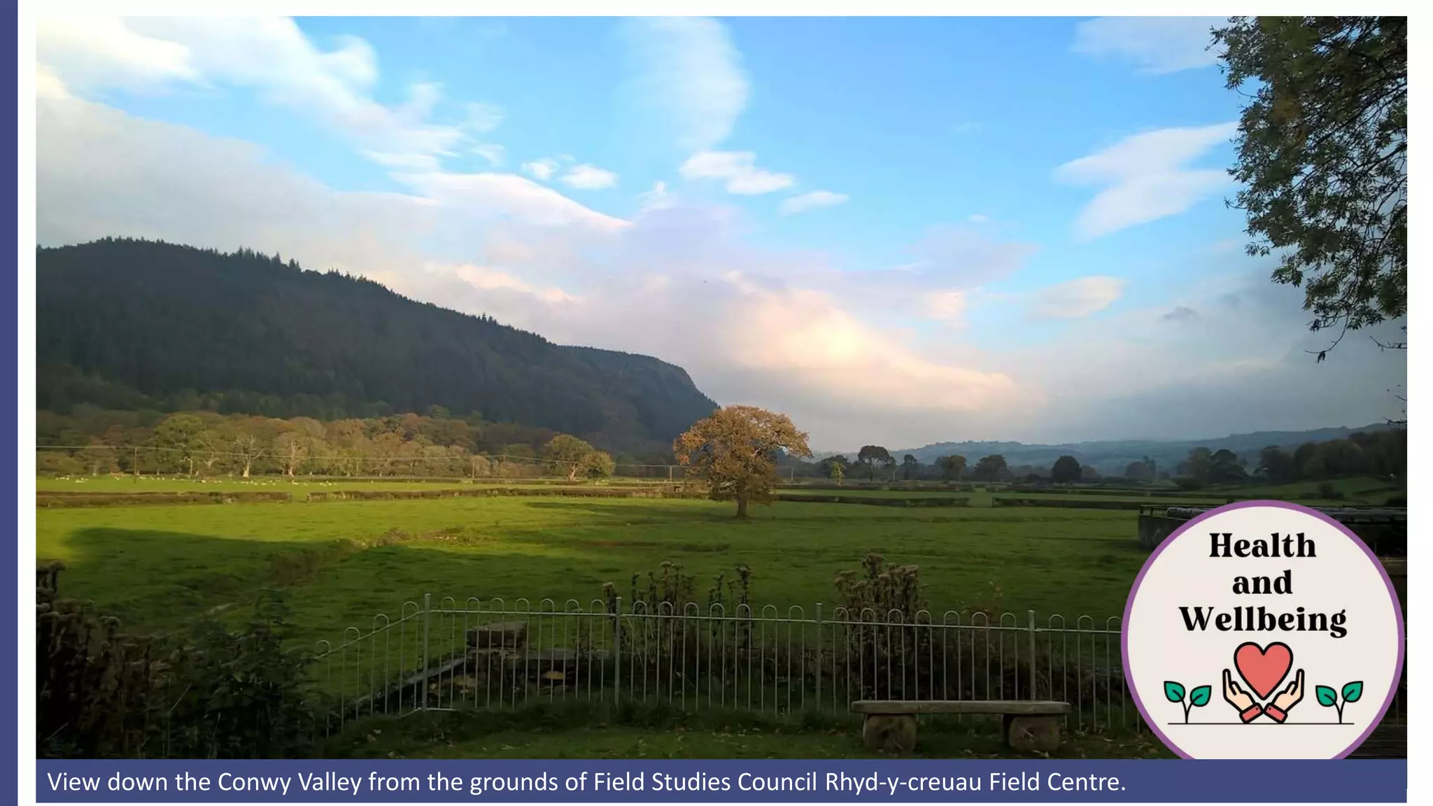 Rosie Molton FSC Practical Strategies for Supporting Wellbeing_.pptx