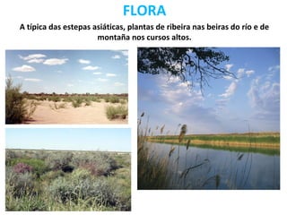 Río Sir Daria | PPT