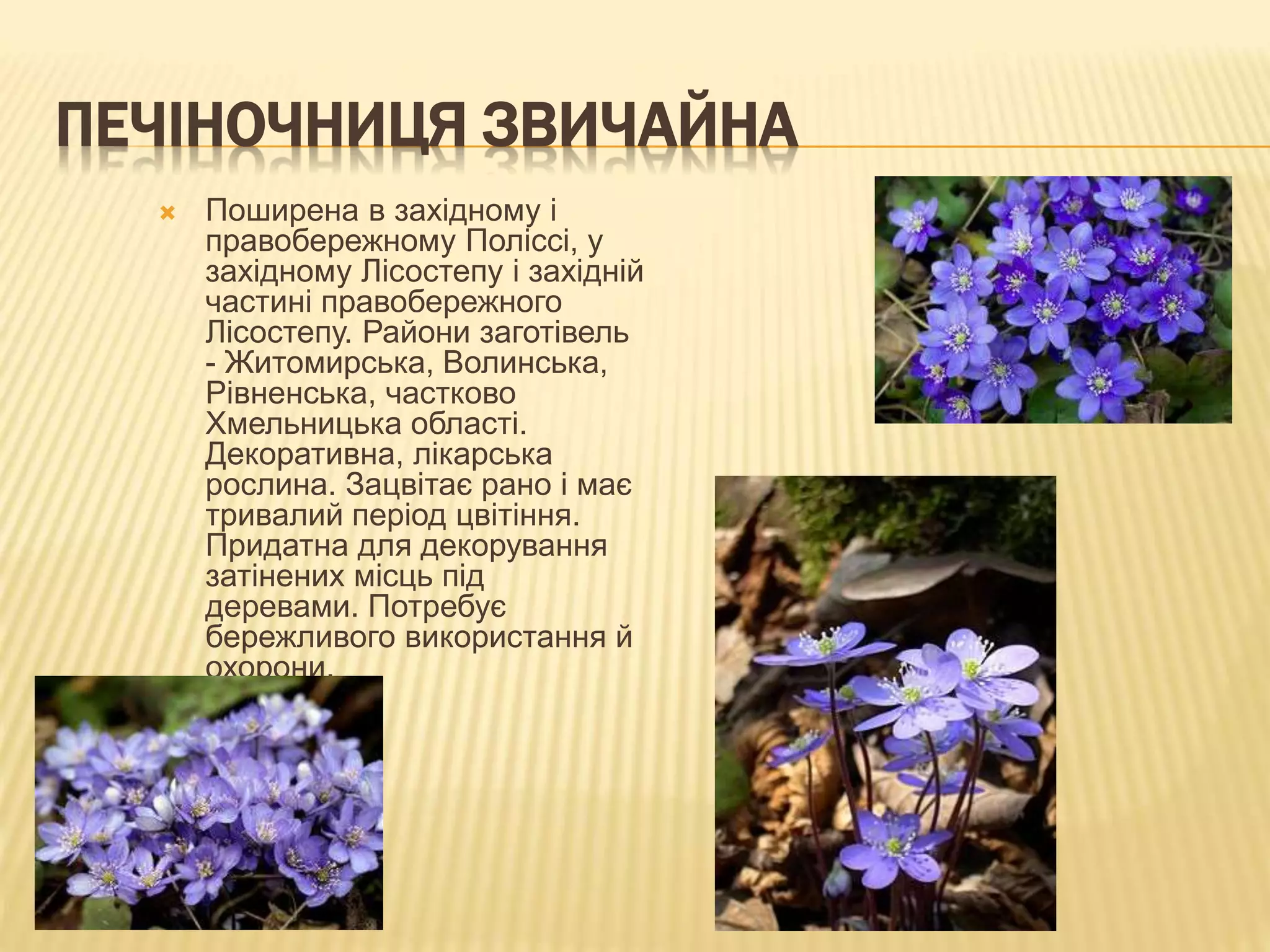 Roslini zaneseni do_chervonoyi_ta_zelenoyi_knigi | PPTX
