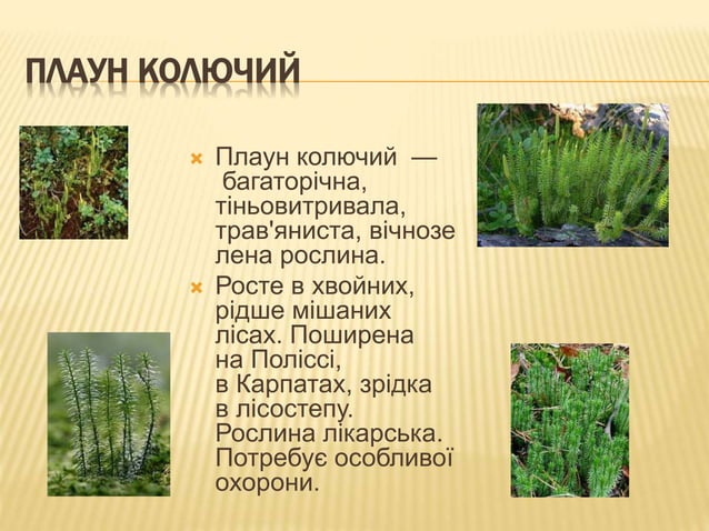 Roslini zaneseni do_chervonoyi_ta_zelenoyi_knigi | PPTX