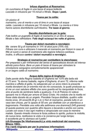 Rosmarino | PDF