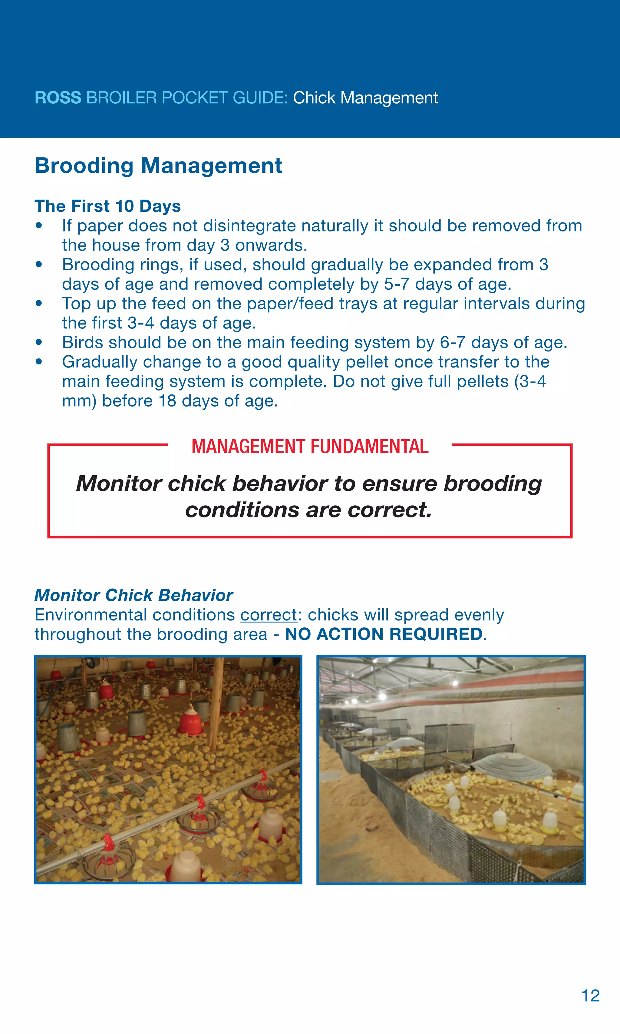 Ross broiler-pocket-guide-2015-en | PDF
