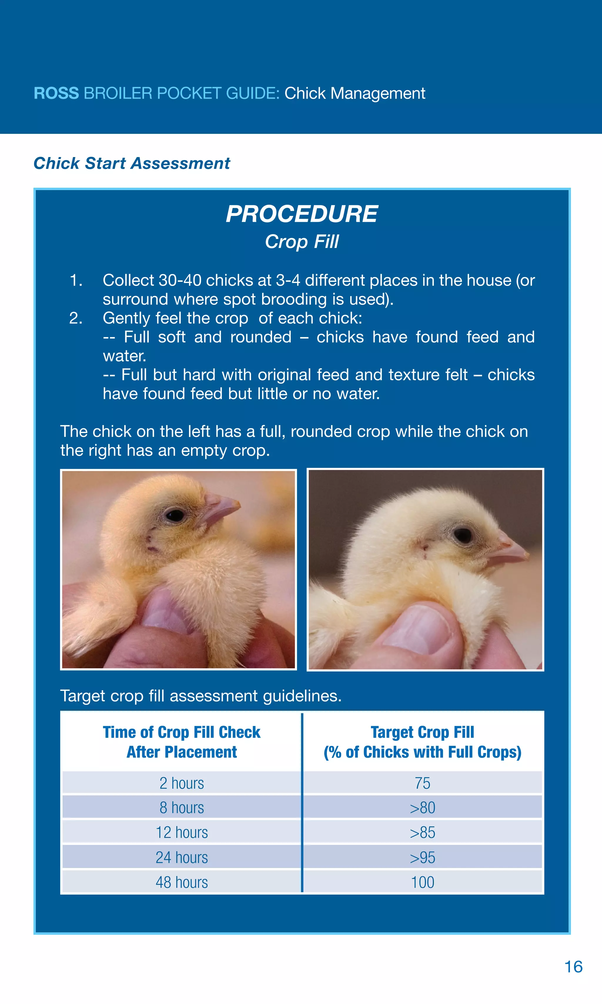 Ross broiler-pocket-guide-2015-en | PDF