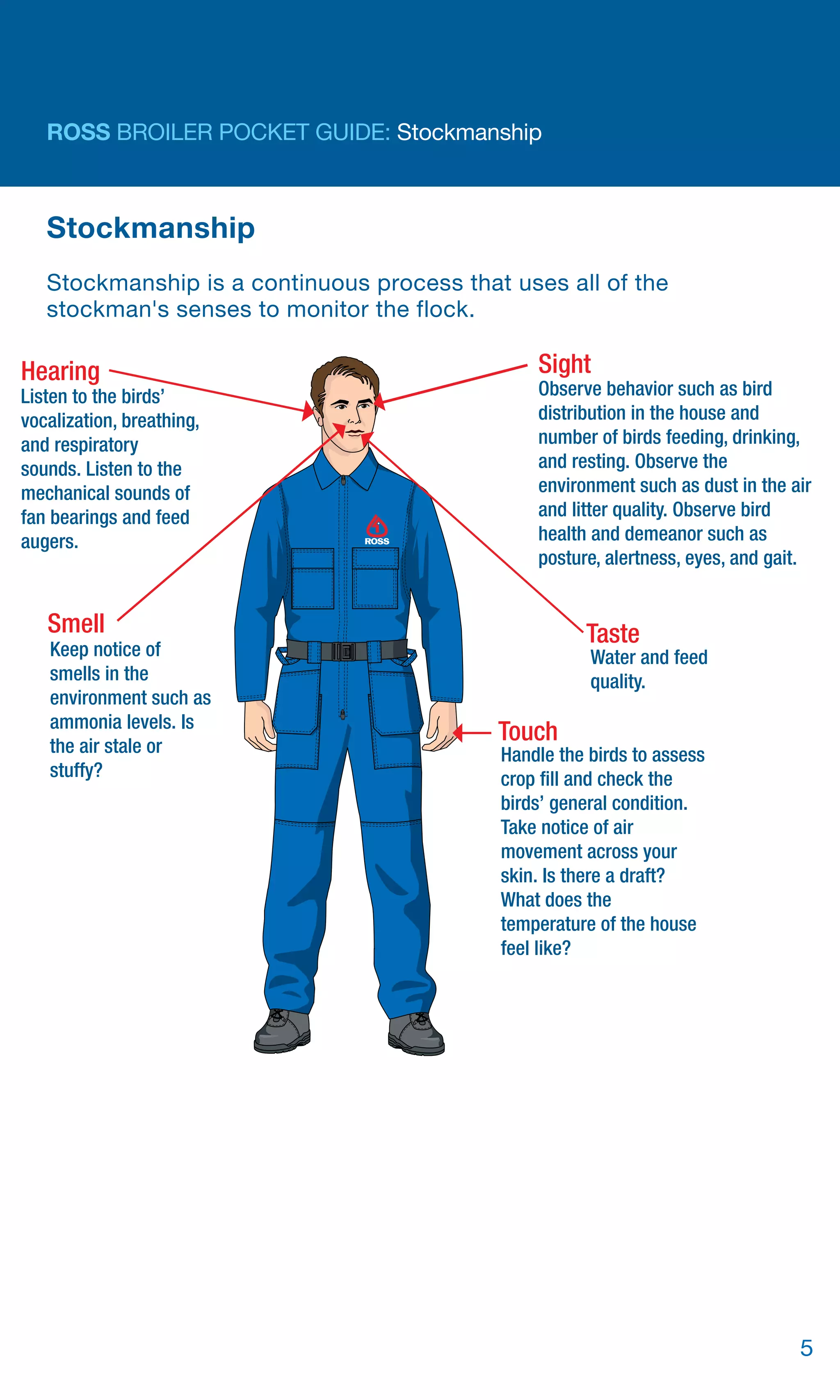 Ross broiler-pocket-guide-2015-en | PDF