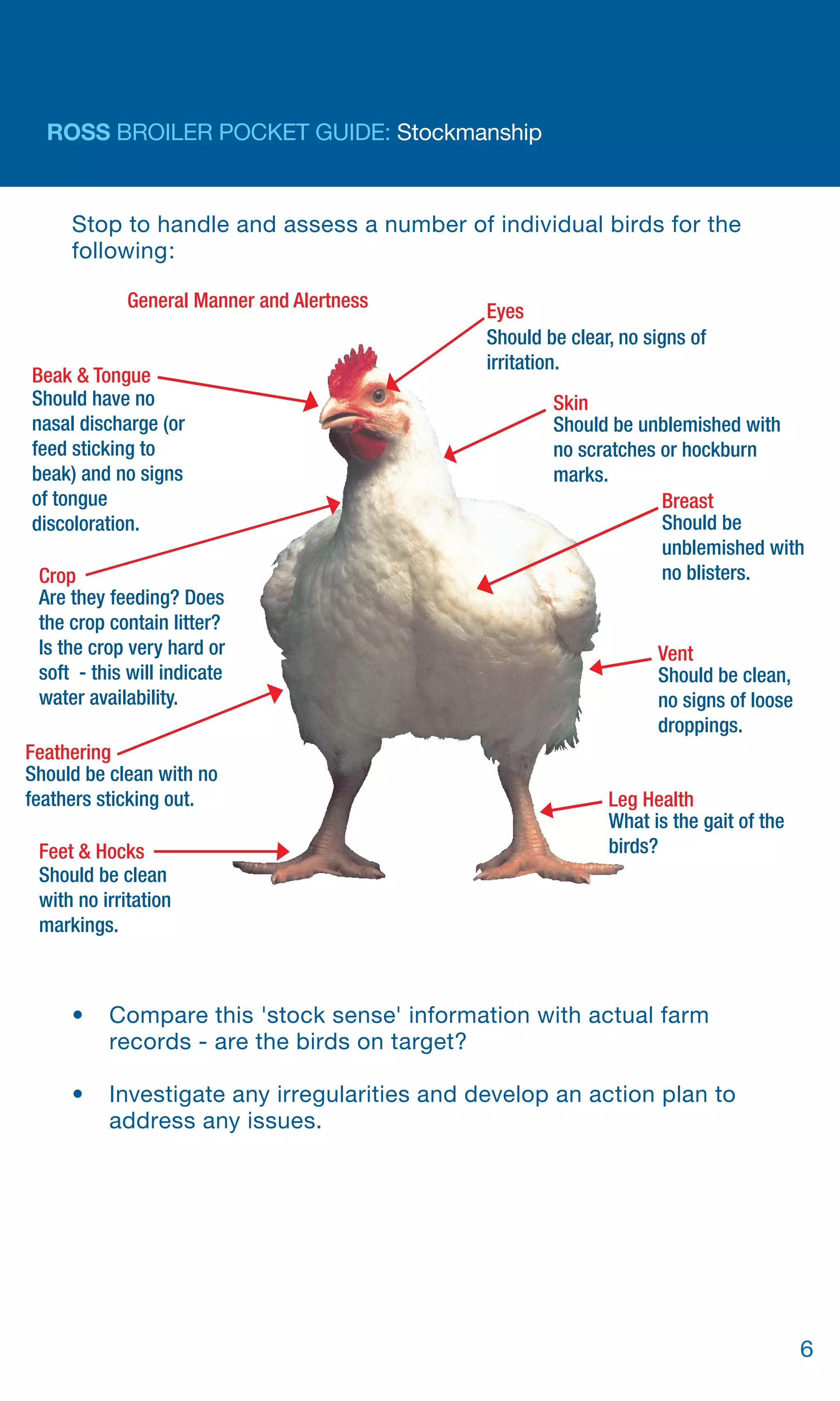 Ross broiler-pocket-guide-2015-en | PDF
