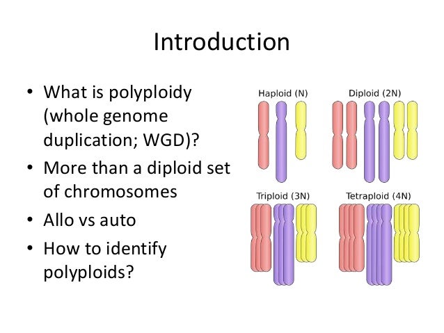 Whole genome duplication and plant genome diversity.spare