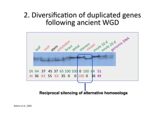 Whole genome duplication and diversification of plant genomes | PDF