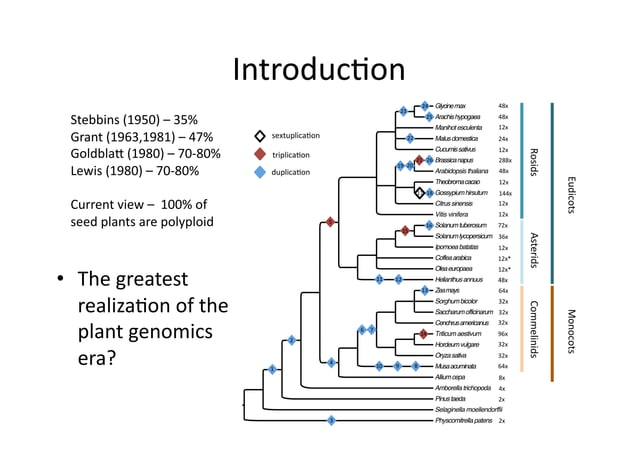 Whole genome duplication and diversification of plant genomes | PDF