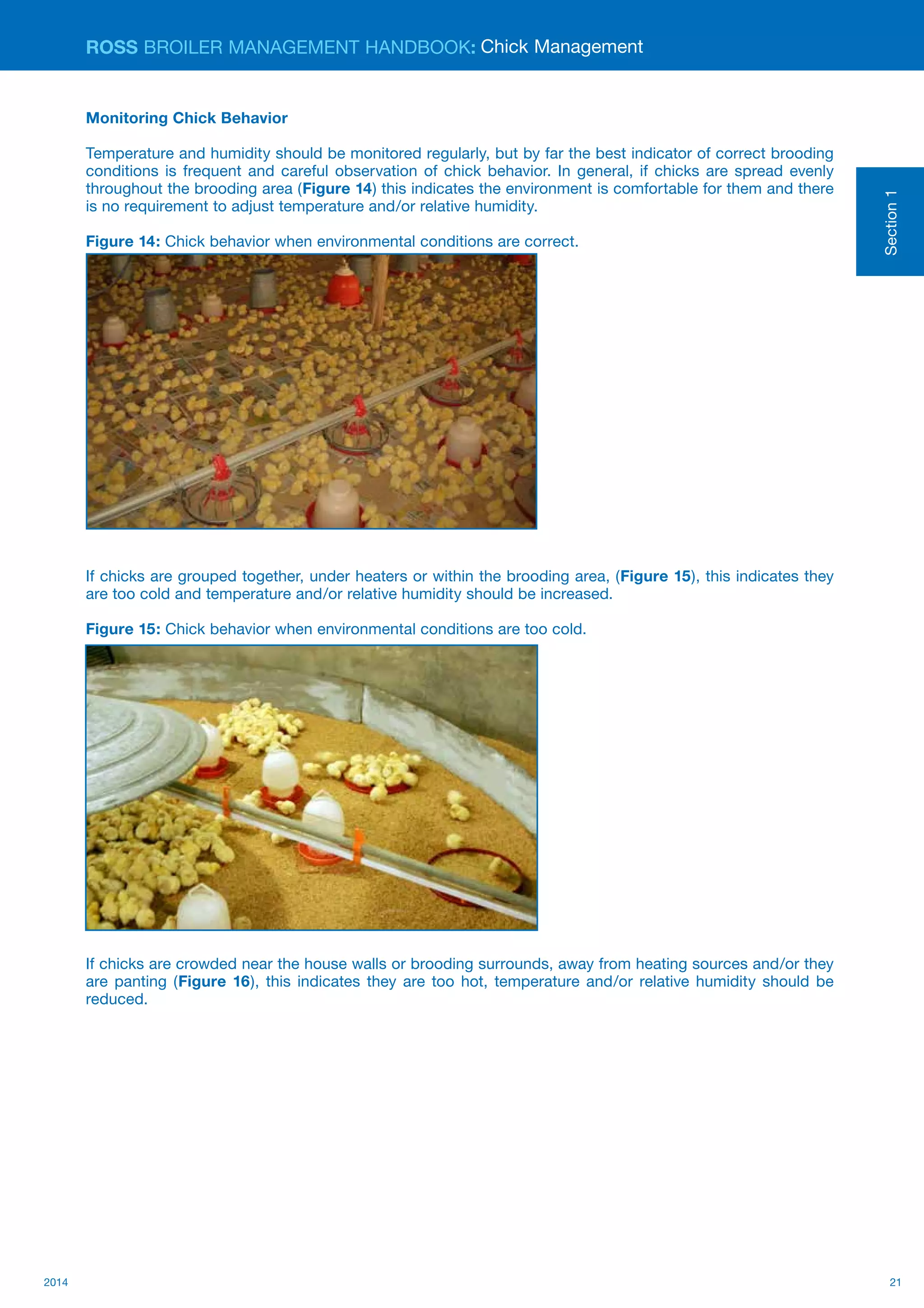Ross broiler handbook | PDF