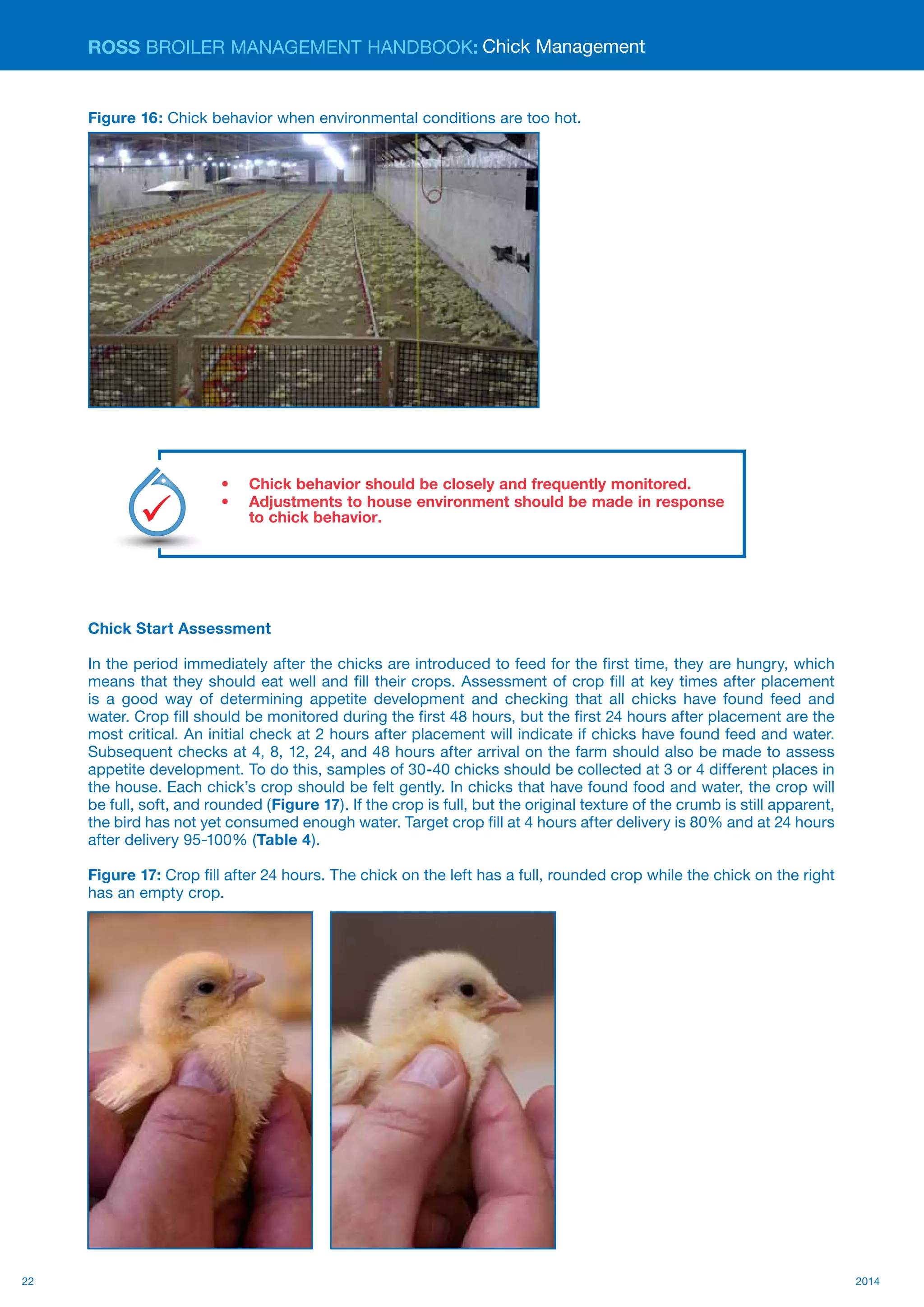 Ross broiler handbook | PDF