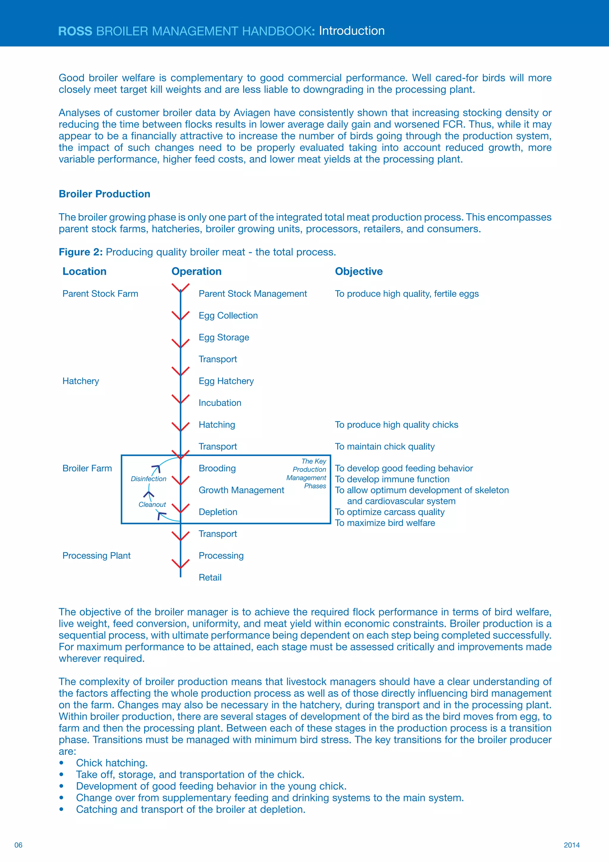 Ross broiler handbook | PDF