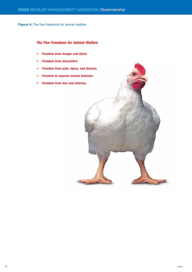 Ross broiler handbook | PDF | Agriculture | Industries