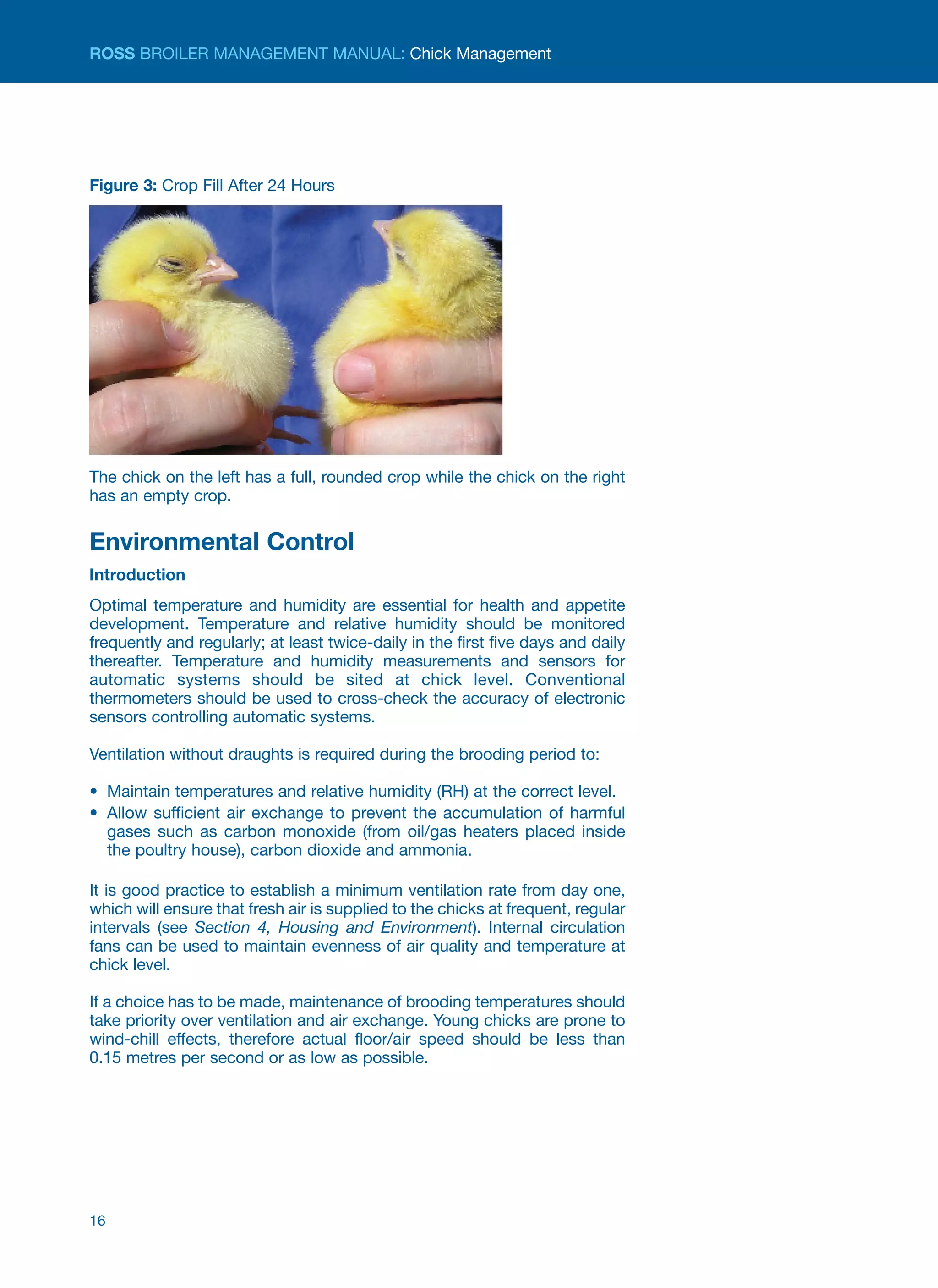 دليل تربية دجاج اللاحم روص 308 | PDF