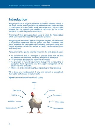 دليل تربية دجاج اللاحم روص 308 | PDF