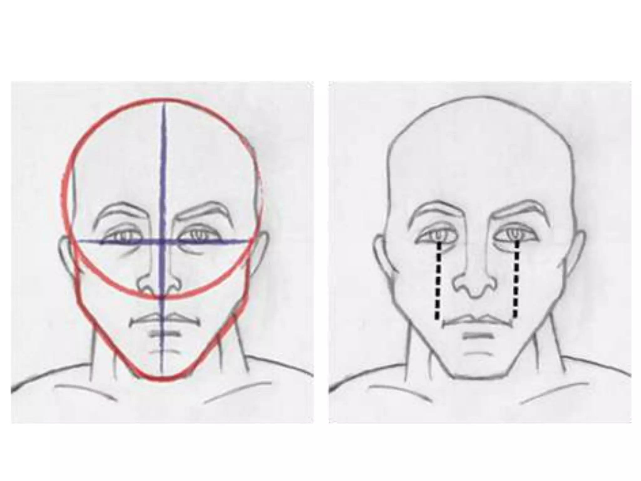 Rostro humano de frente y perfil (TPN1 y TPN2 ) | PPT