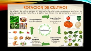 INTRODUCCIONES A LA ROTACION DE CULTIVOS | PPTX