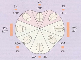 ROTACION EN EL PARTO OIIA Y OIDA Y FORCEPS 1AAA | PPTX