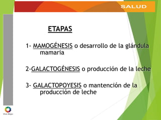 Anatomía y fisiología de la glándula mamaria. | PPTX
