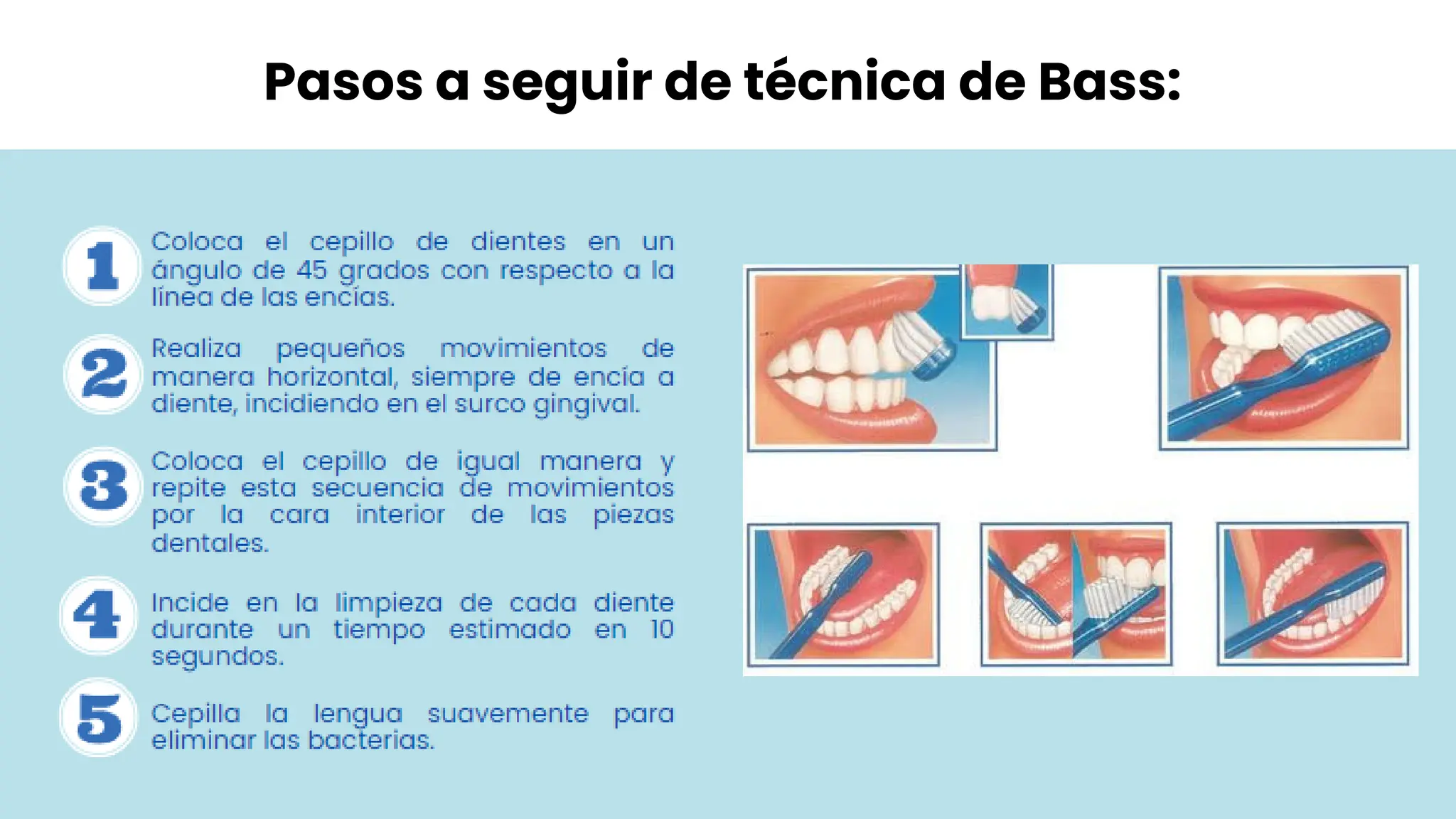 Rotafolio sobre tecnica de cepillado de Bass | PDF