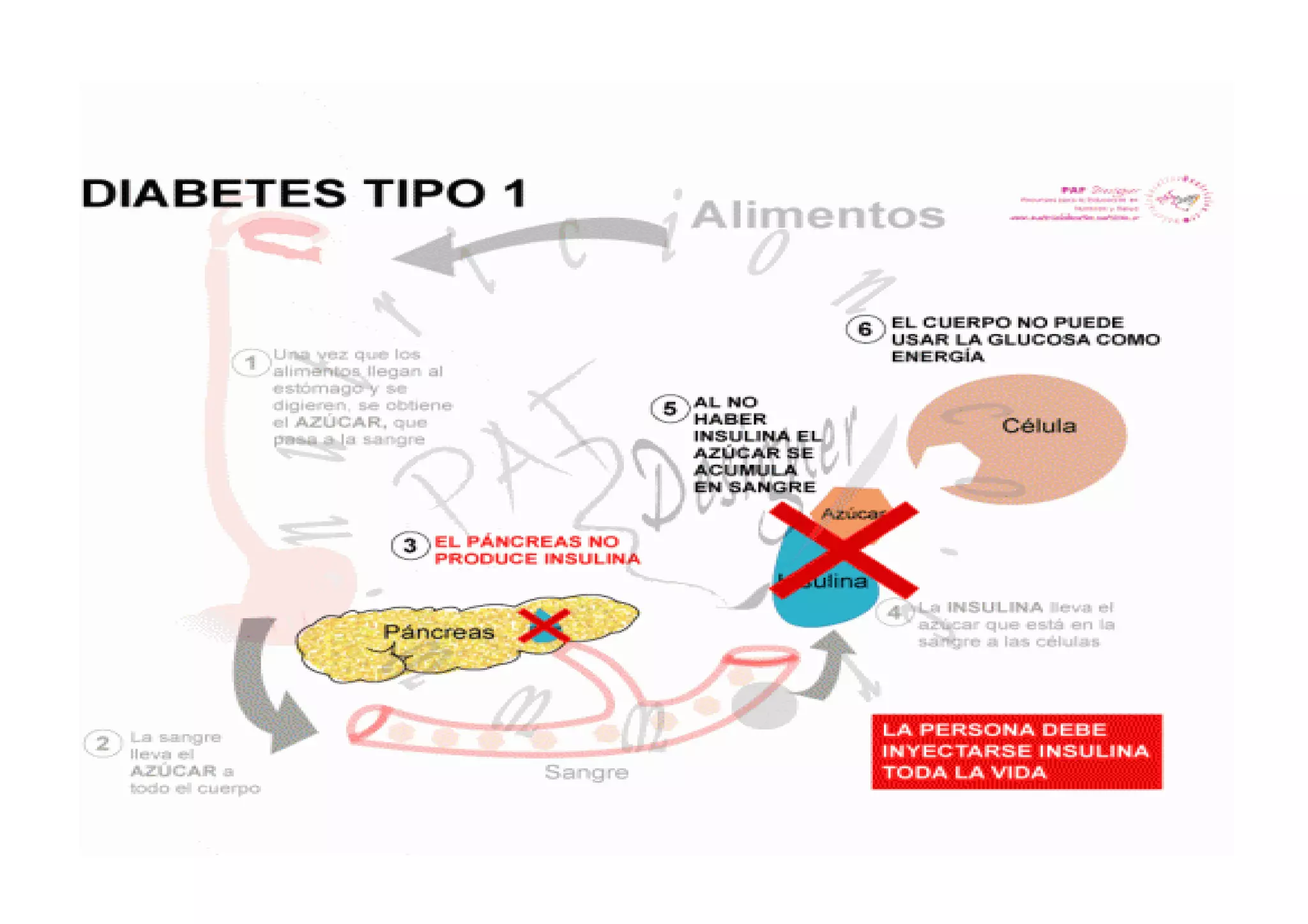Rotafolio de diabetes | DOC