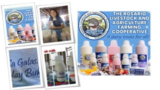 Basic Education and Literacy on Livelihood for the youth, women and ...