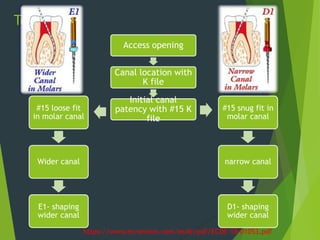 ROTARY ENDODONTICS IN PEDODONTICS | PPTX