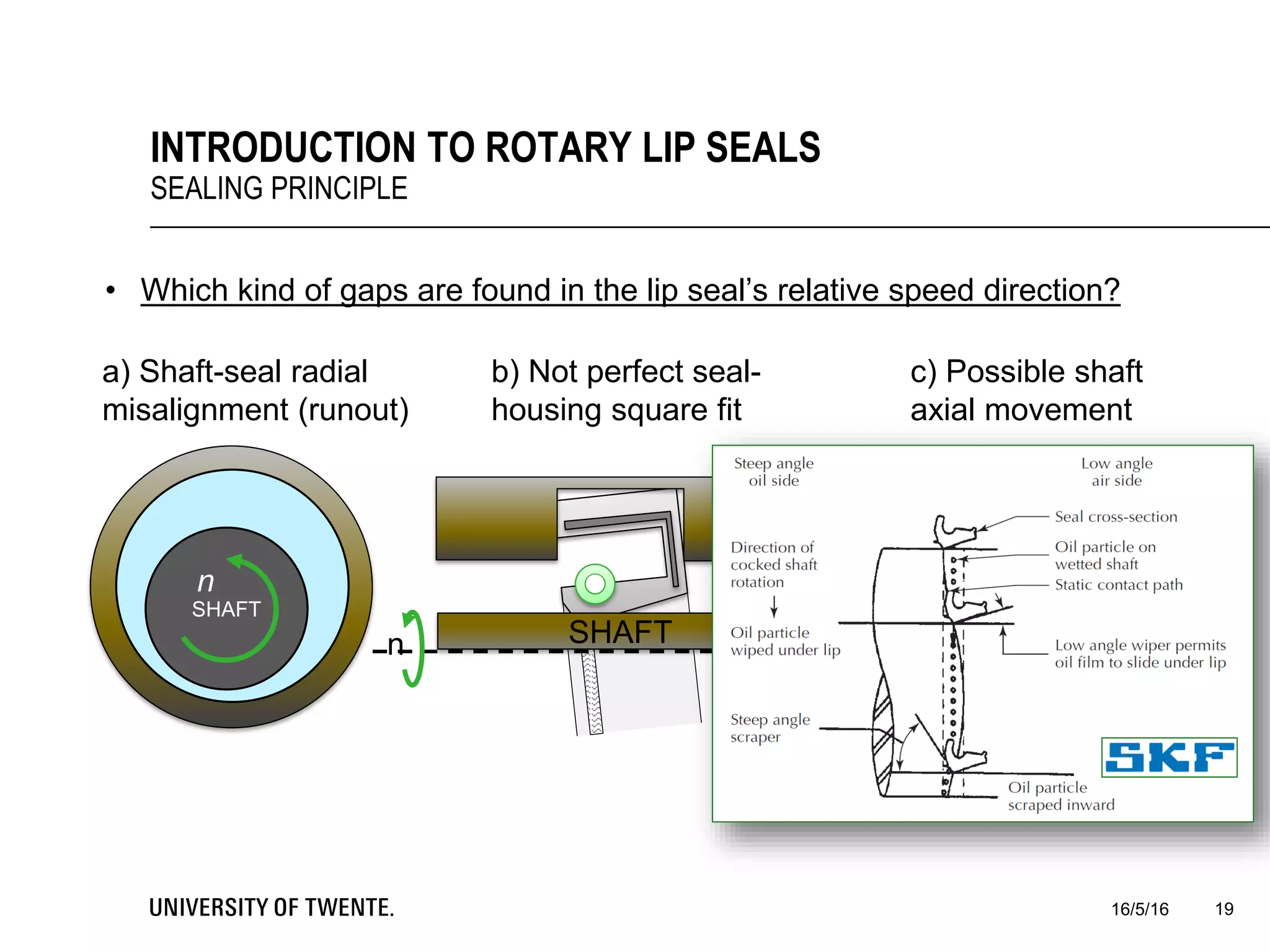 Introduction to Rotary Lip Seals | PDF | Physics | Science