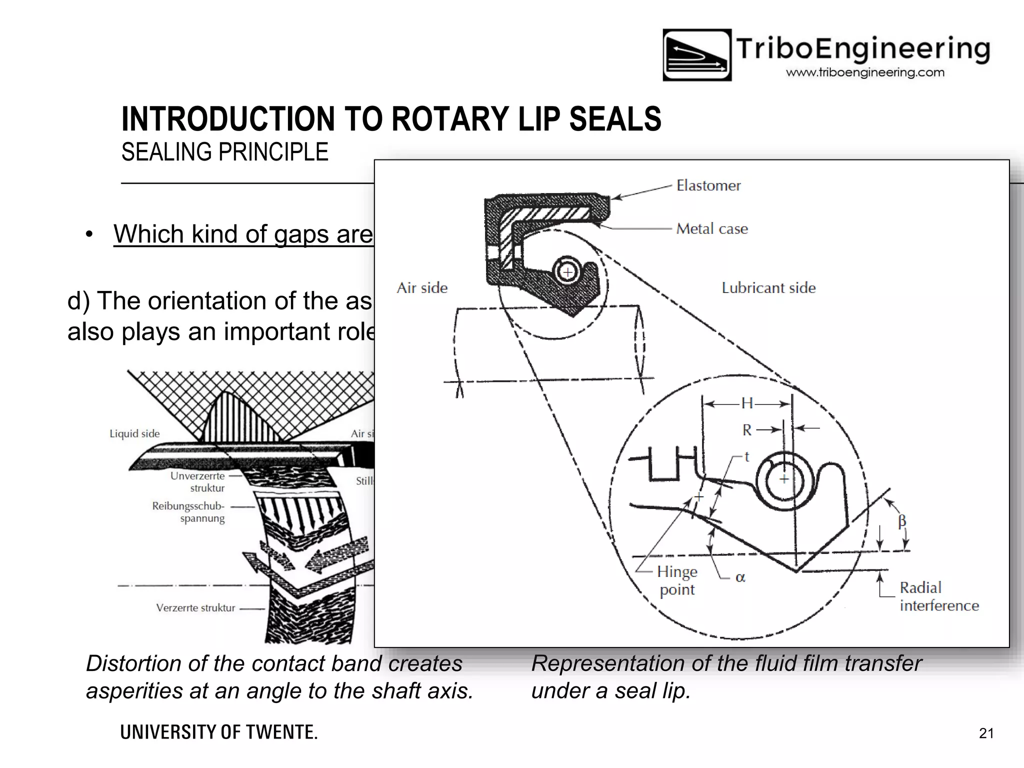 Introduction to Rotary Lip Seals | PDF