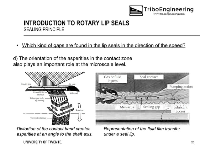 Introduction to Rotary Lip Seals | PDF | Physics | Science