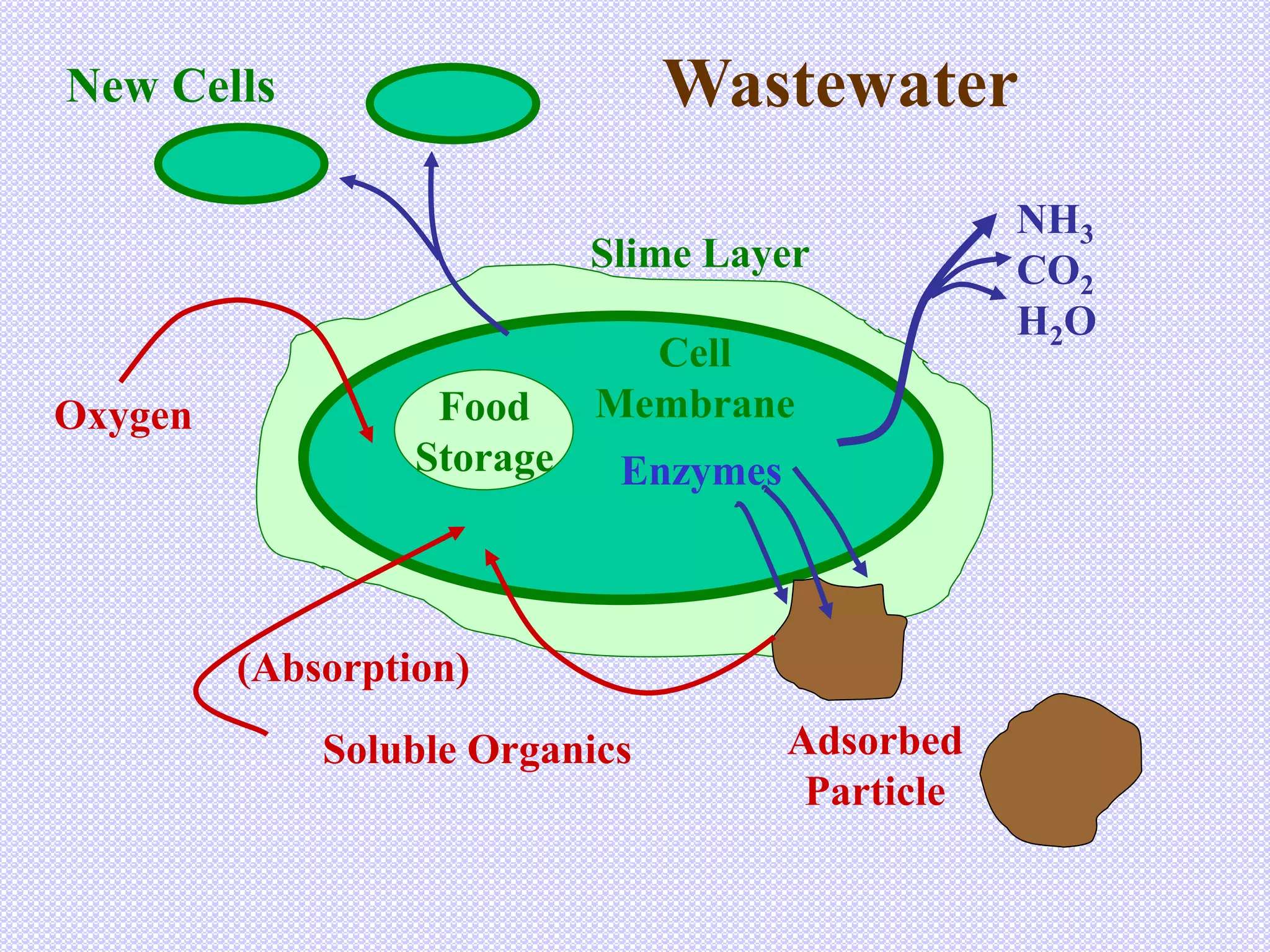 rotating-biological-contactor-process.ppt
