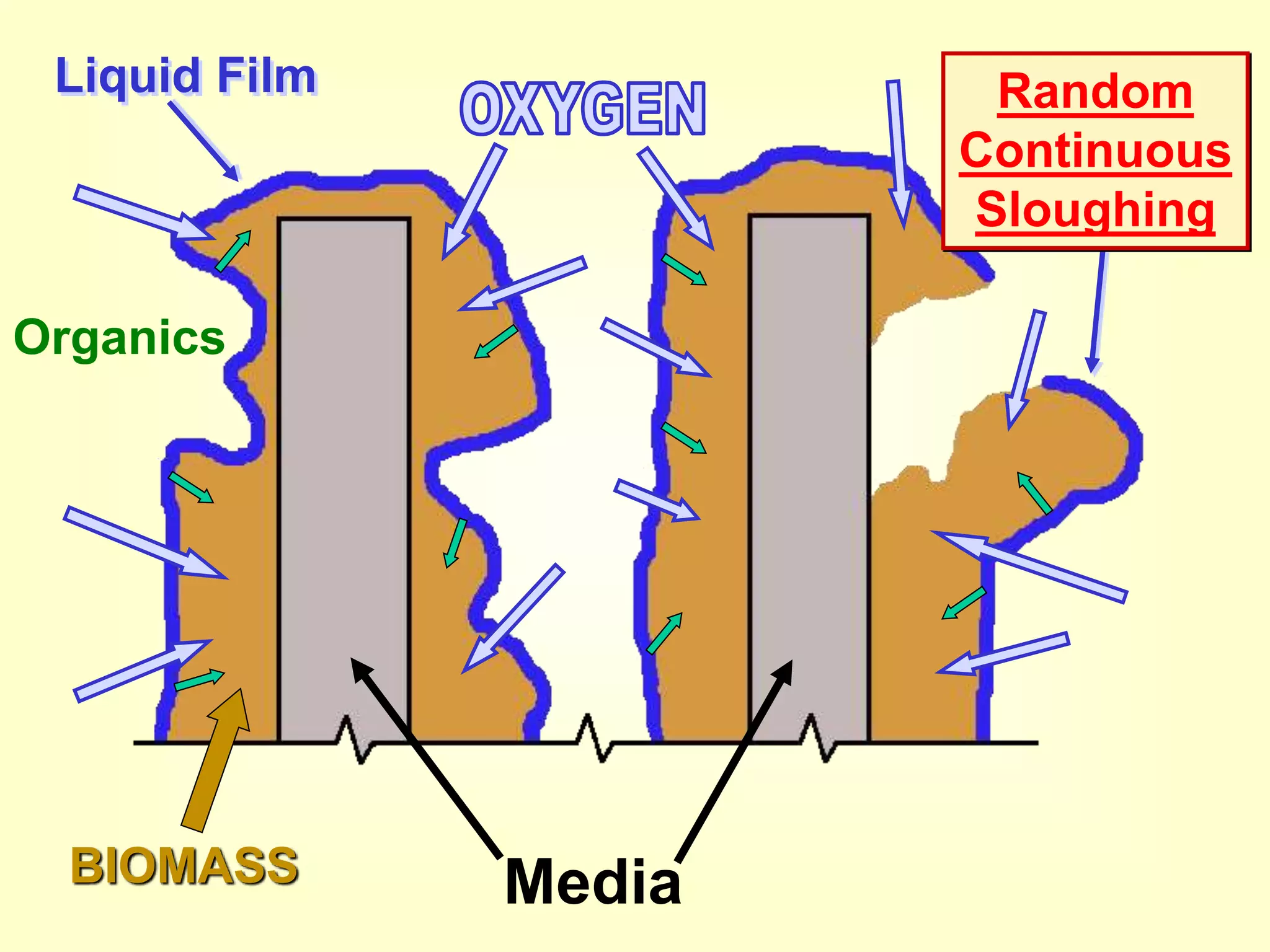 rotating-biological-contactor-process.ppt