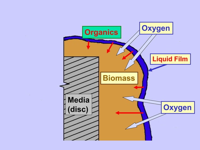 rotating-biological-contactor-process.ppt | Chemistry | Science