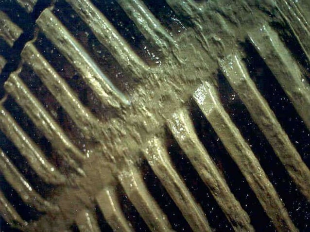 rotating-biological-contactor-process.ppt | Chemistry | Science