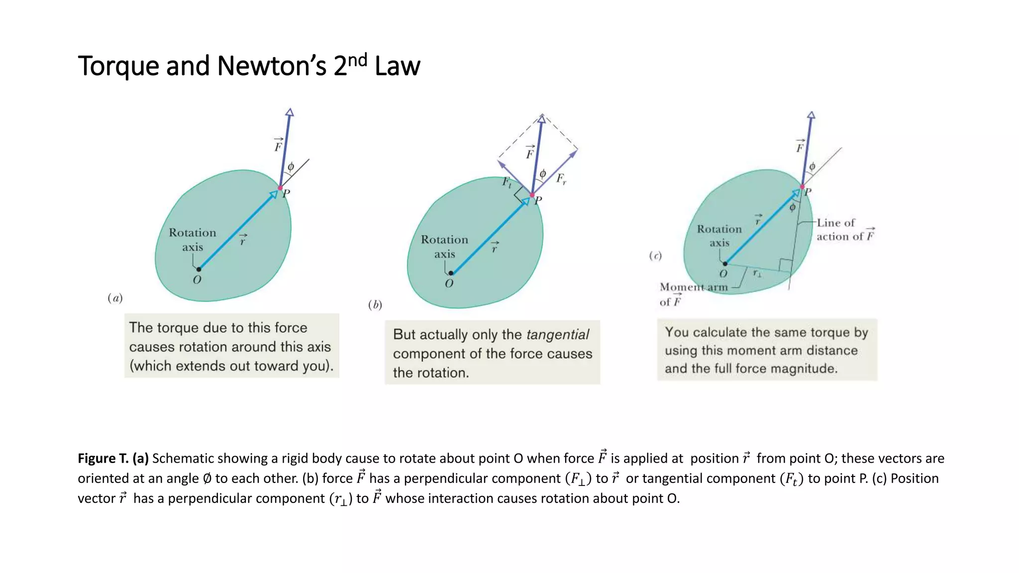 Rotational_KineticEnergy_Torque.pptx | Physics | Science